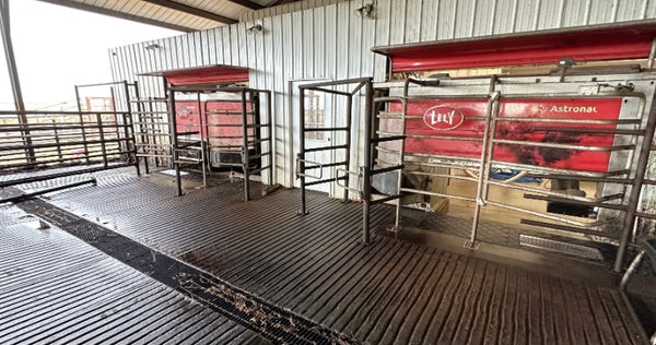 #DD2922 - Lely A5 Robotic Milking System - MO – Dairy Dealer LLC