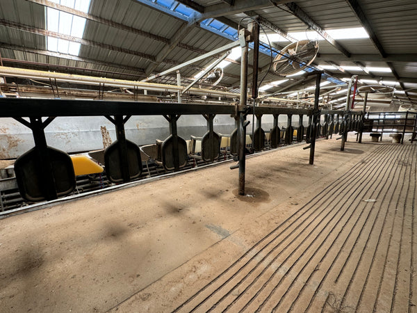 #DD2318 - PBI Complete Double 20 Parallel Parlor - NM – Dairy Dealer LLC