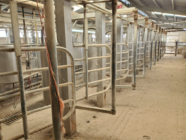 Double 12 Herringbone Rapid Exit Parlor for sale in NM - DairyDealer ...
