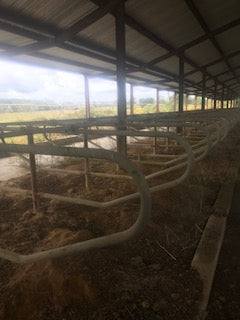 Freudenthal MFG Free Stall Loops for sale in FL - DairyDealer.com ...